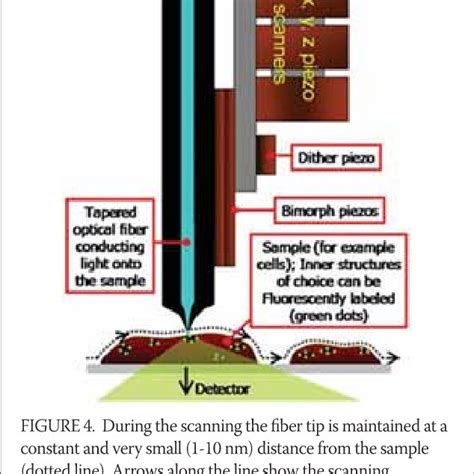Pdf Scanning Near Field Optical Microscopy