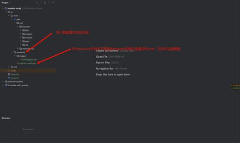 Mybatis 核心配置的学习 浅影阿 博客园