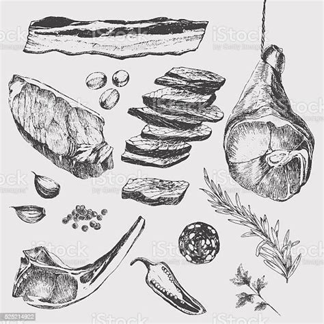 벡터 고기류 스테이크 스케치 그림이요 디자이너 템플릿을 양고기 립 파르마 일러스트레이션에 대한 스톡 벡터 아트 및 기타 이미지