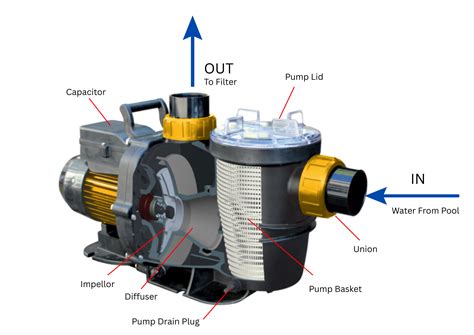 Pool Pump Series Get To Know Your Pool Pump — Micks Pool Care