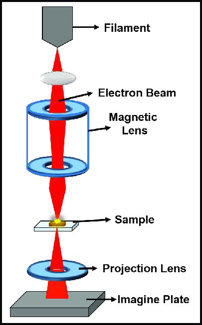 24 Schematic Diagram For Tem Download Scientific Diagram