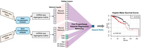 Github Huangzhiisalmon Salmon Survival Analysis Learning With
