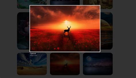 🚀 built an image gallery with html css and javascript khushi jain