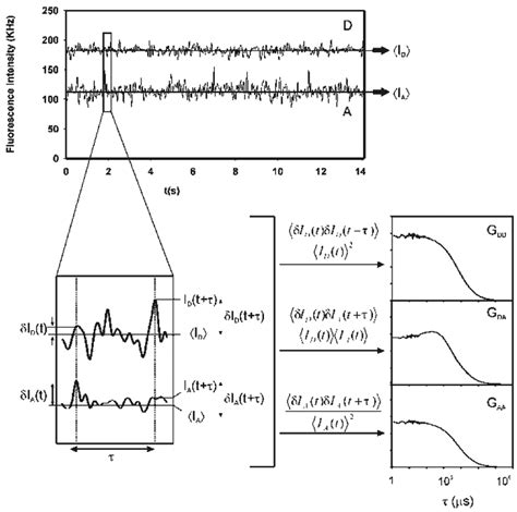 Schematic Representation Of How The Correlation Functions G Dd G Aa