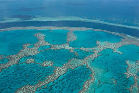 Visitar La Gran Barrera De Coral Qué Hacer Dónde Y Cómo