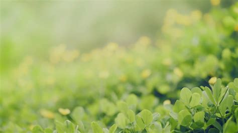 Esg Vs Csrd Understanding Key Differences Seneca Esg