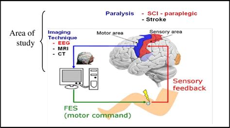 Figure 11 From Development Of Brain Computer Interface Bci System