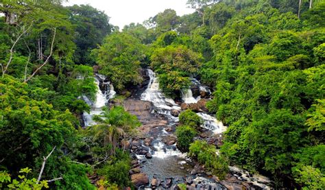Top Tourism Sites And The Ultimate Travel Guide For Liberia West