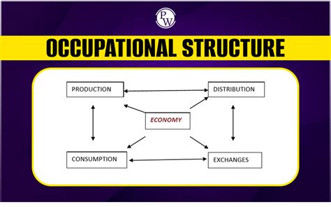 What Is Occupational Structure Types And Factor Influencing