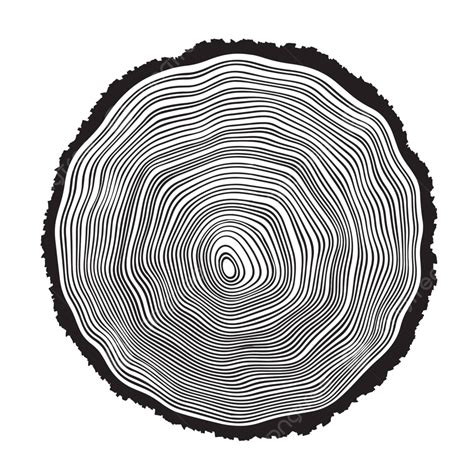 Tree Rings Background Illustration Tree Cut Design Vector Tree Cut Design PNG And Vector With