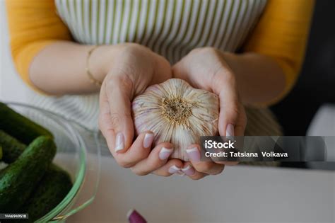 근접 촬영 인식 할 수없는 여자 손은 테이블 위의 신선한 오이 접시 근처에서 마늘 머리를 잡고 있습니다 면역 강화 바이러스 보호 30 34세에 대한 스톡 사진 및 기타