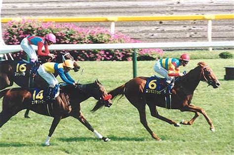 2021年 第24回（82回）優駿牝馬（オークス）（gⅠ）東京競馬場 芝2400m 消去法データ 黒鹿毛桜blog