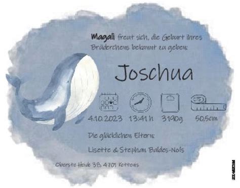 Joschua Hochzeiten Und Geburten Grenzecho