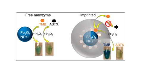 Molecular Imprinting On Inorganic Nanozymes For Hundred Fold Enzyme Specificity Journal Of The