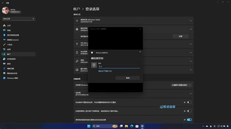 如何在 Windows 11 上使用 Windows Hello 安全登录 系统极客