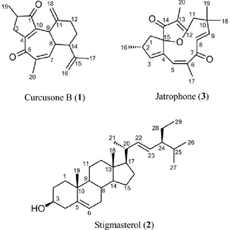 Structure Of Terpenoids From Jatropha Plants Download Scientific Diagram