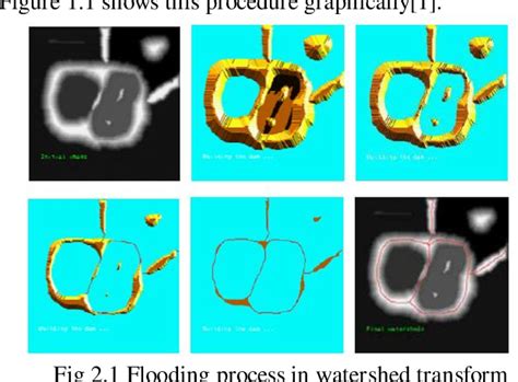 Figure 21 From Image Segmentation Using Watershed Transform Semantic