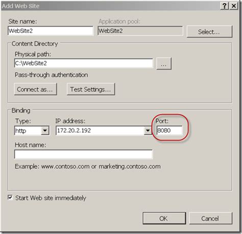 Huthaifa Afanah Hosting Multiple Websitesapplications On Iis Part 1