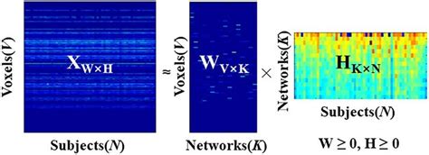 Schematic Representation Of Network Derivation Using Nonnegative Matrix Download Scientific