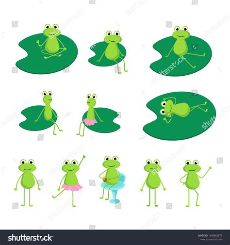 Collection Frogs Different Poses Vector Illustration Stock Vector Royalty Free