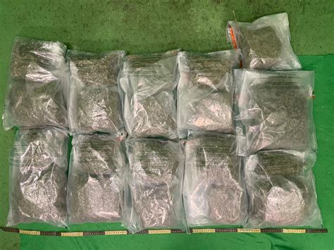 香港海關於機場偵破兩宗旅客販毒案件（附圖）