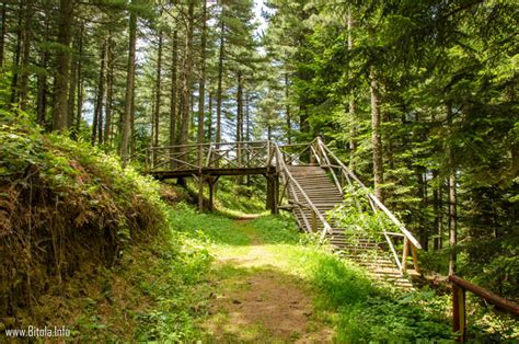 Meridijani Blogspot Mk Најстариот национален парк во Македонија