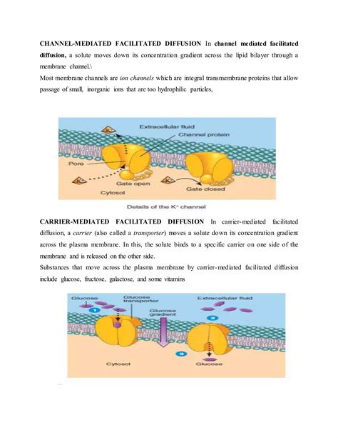 Cell Signalling Pdf