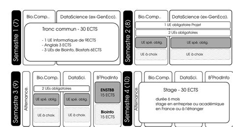 Master In Bioinformatics Bordeaux France