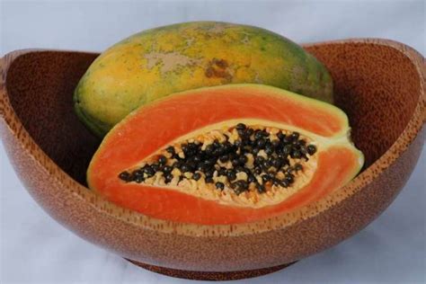 Aneka Biji Bijian Yang Bermanfaat Untuk Kesehatan Trubus