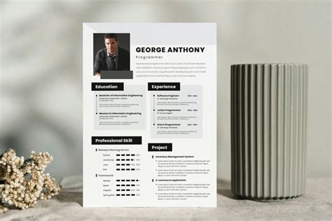 Resume Programmer V Design Cuts Resume Programmer V Design Cuts