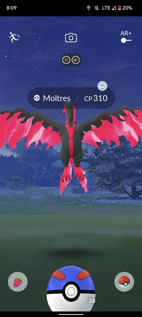 First Time Encountering Galarian Moltres Golden Razz Berry Missed The