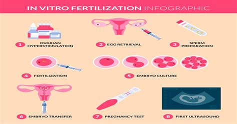 Ivf Kya Hai Ivf Process Step By Step In Hindi Dr Mona