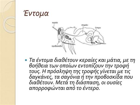 ΠΕΨΗ ΑΣΠΟΝΔyΛΑ Pptx