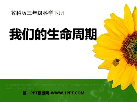 我们的生命周期动物的生命周期PPT课件2 教科版三年级科学下册