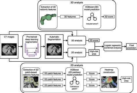 Workflow Of Developed CAD Tool Download Scientific Diagram