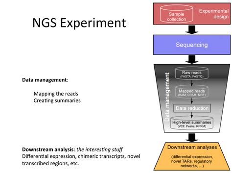 Rna Sequencing Analysis Tutorial With Ngs Pdf Genetics Science