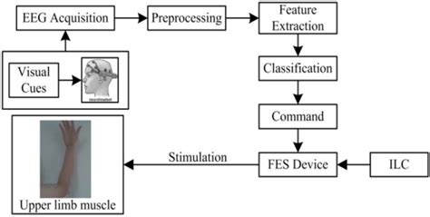 Figure From SSVEP Based BrainComputer Interface Controlled Functional Electrical Stimulation