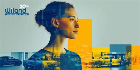 Turn Marketing Segmentation Disadvantages Into Advantages Wiland