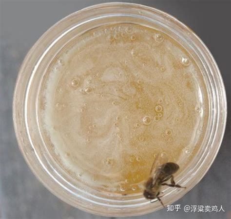 卖蜂蜜的第30天简直要崩溃了 知乎