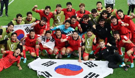 월드컵 16강 1152만 태극전사 네이버 생중계로 응원 파이낸셜뉴스