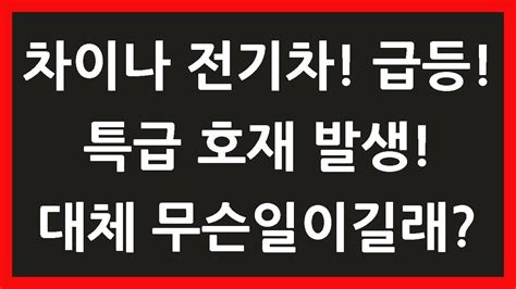 차이나 전기차 Solactive 주가 전망 타이거 Tiger Etf 레버리지 중국 2차전지 배터리 주식 장기 투자 장투 단타 구성 종목 특급 호재 발생했다 무엇