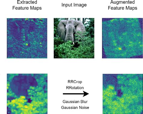 cnn feature map augmentation for single source domain generalization