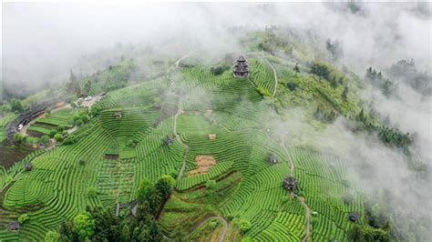 广西三江：雾绕侗乡赛仙境旅游