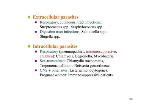 Interaction Of Bacteria With Human Being Ppt Download