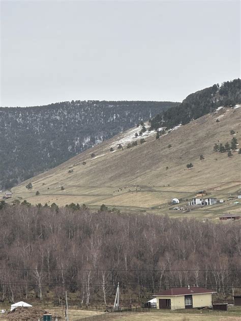 Бөмбөгөр Сууц Энэ зурагнаас юу харж байна Facebook