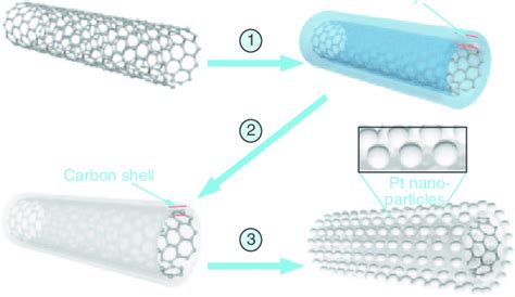 Scheme 1 Fabrication Carbon Shell On The Surface Of CNTs 1 Through Download Scientific
