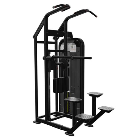Dip And Pull Up Machine Chin Dip Assist Machines Home And Commercial