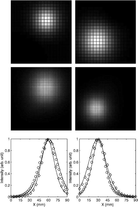 Normalized Independent Spatial Intensity Distributions On The Input Or