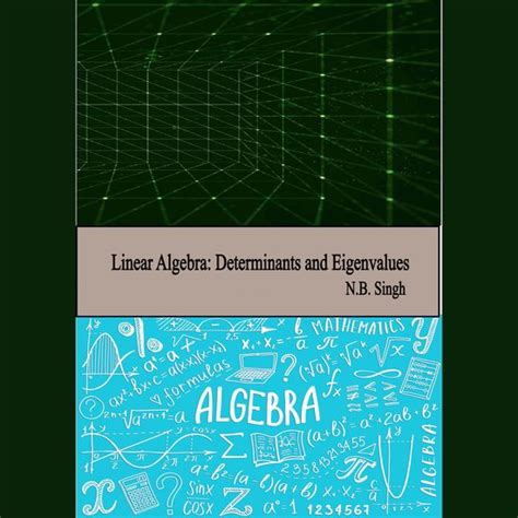 Linear Algebra Systems Of Linear Equations Nb Singh 9798882254161