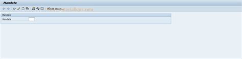 Remmmn Sap Tcode Edit Object Mandate Transaction Code